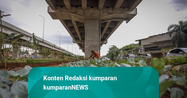 Foto: Pemprov DKI Jakarta Gencarkan Penataan Kawasan Hijau dan Urban ... Foto: Pemprov DKI Jakarta Gencarkan Penataan Kawasan Hijau dan Urban ...